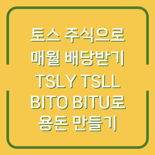 토스 주식으로 매월 배당받기 TSLY TSLL BITO BITU로 용돈 만들기 - 양질의 정보를 발빠르게